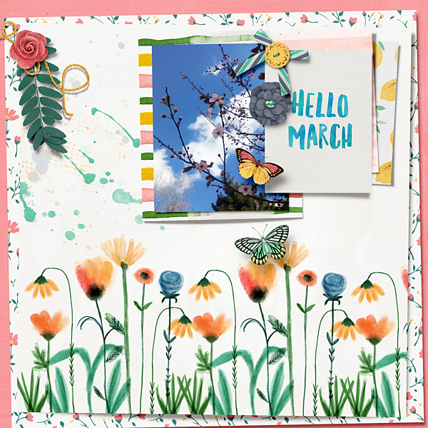 Hello March | The Lilypad