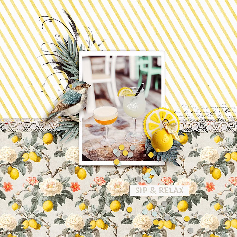 Citrus & Clay | Kit by Joyce Paul - The Lilypad