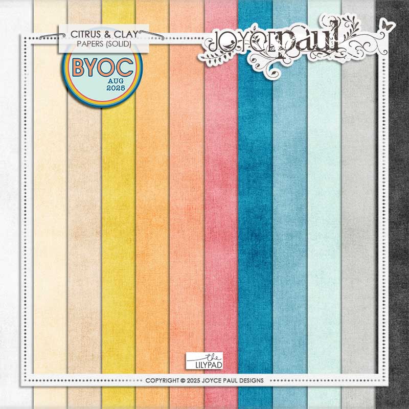 Citrus & Clay | Bundle by Joyce Paul - The Lilypad
