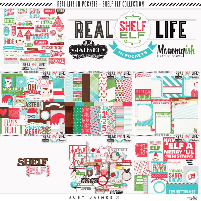 REAL LIFE IN POCKETS – SHELF ELF | COLLECTION BUNDLE - The Lilypad