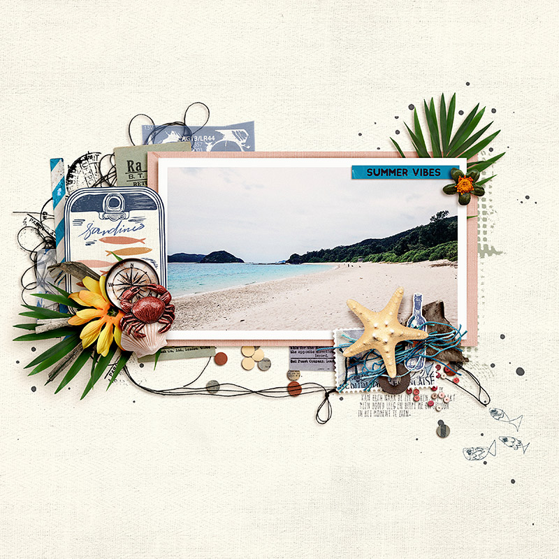 Sarda & Salt - Mixed Media Kit (XL) by Rachel Jefferies - The Lilypad