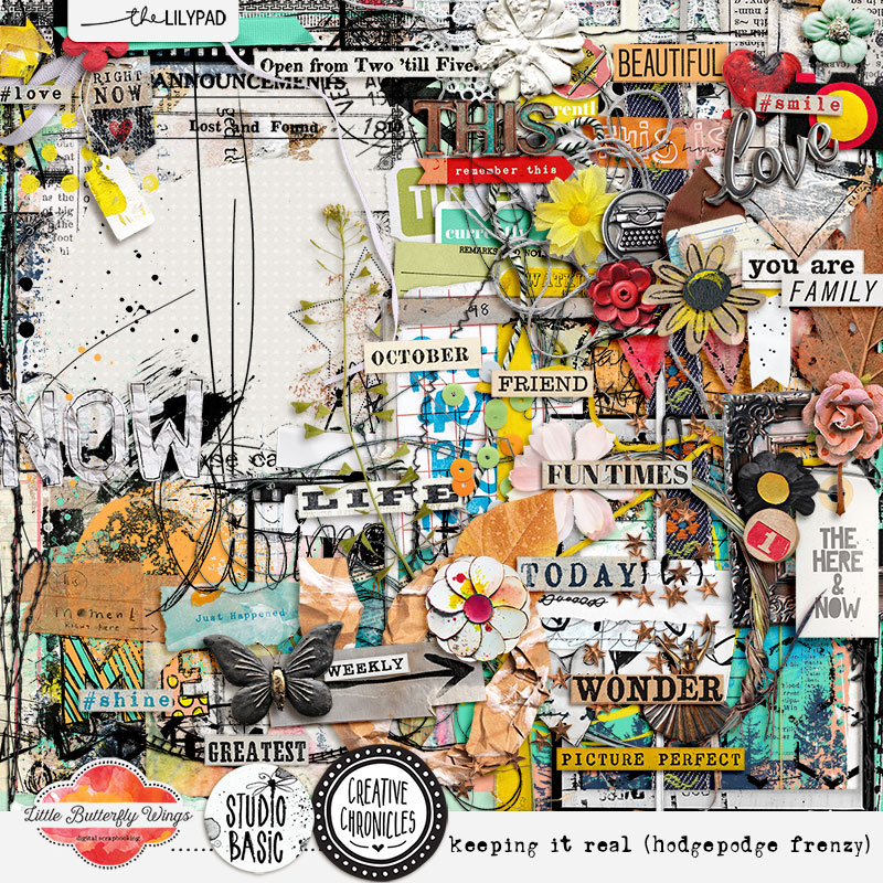 Creative Chronicles: keeping it real (bundle + fwp) - The Lilypad